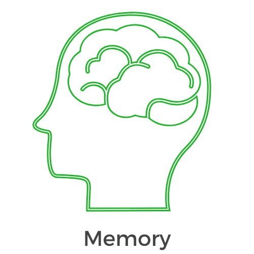 Virtual Personal Trainer for the Mind™ - Fit Minds