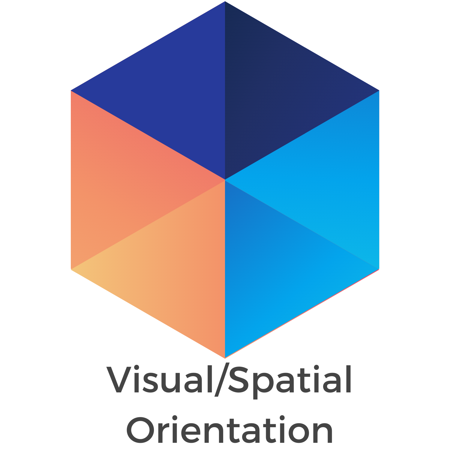 Fit Minds | Cognitive Stimulation Therapy for Alzheimers & Dementia